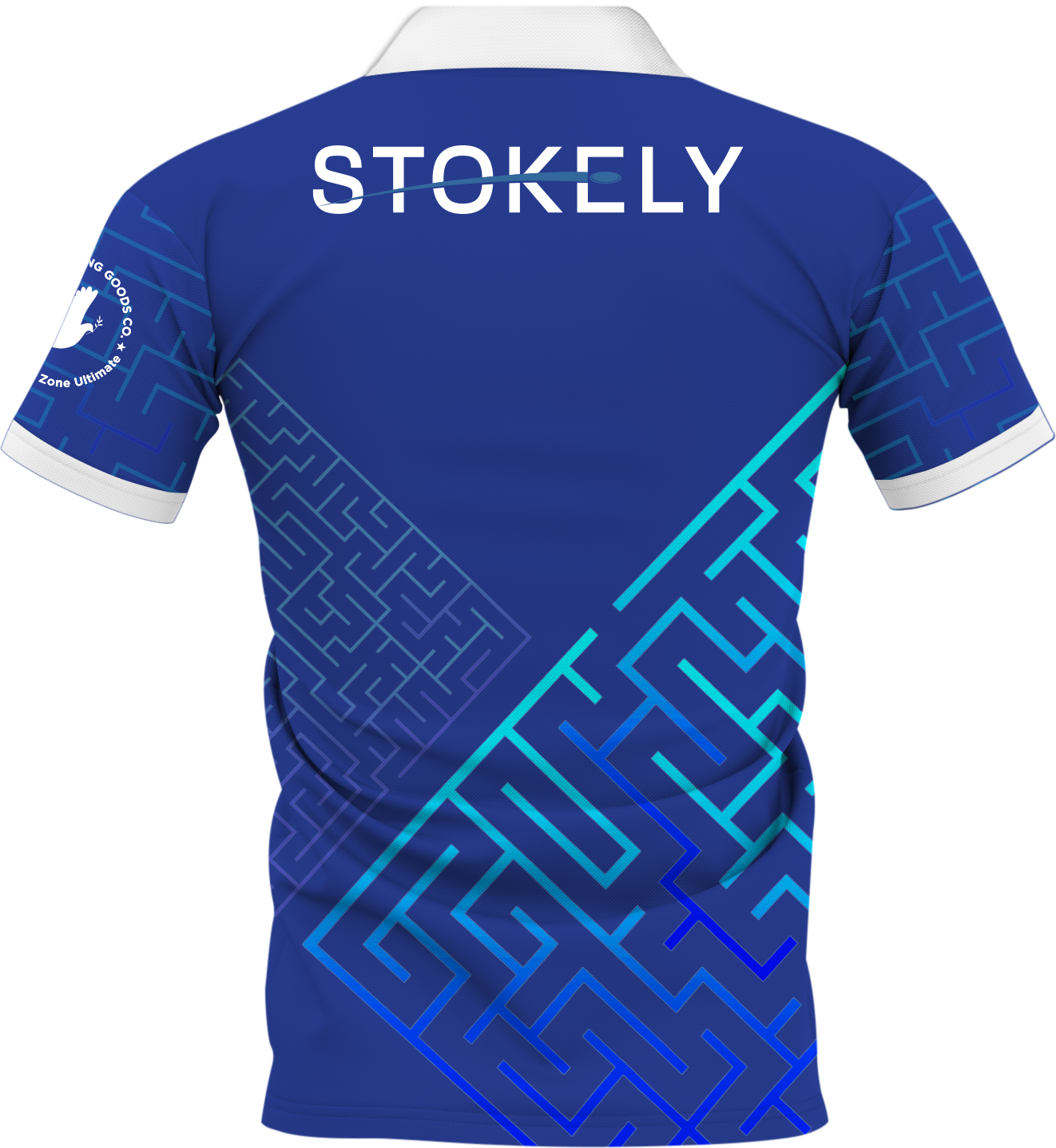 Disc Golf Pro | Scott Stokely